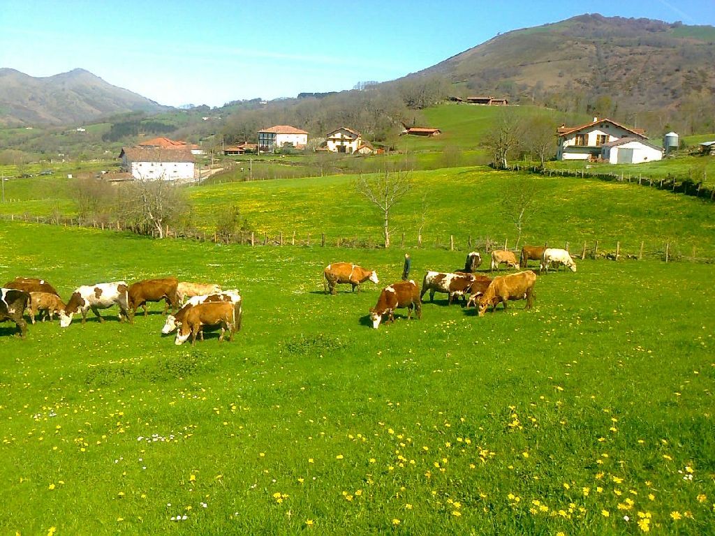 casa rural agroturismo Baztan en ERRATZU navarra pirineo